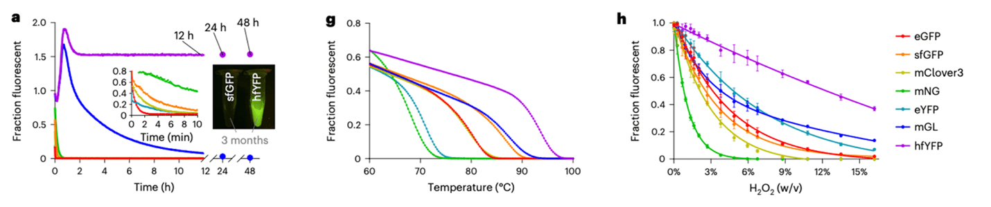 Hot Plasmids - January 2023